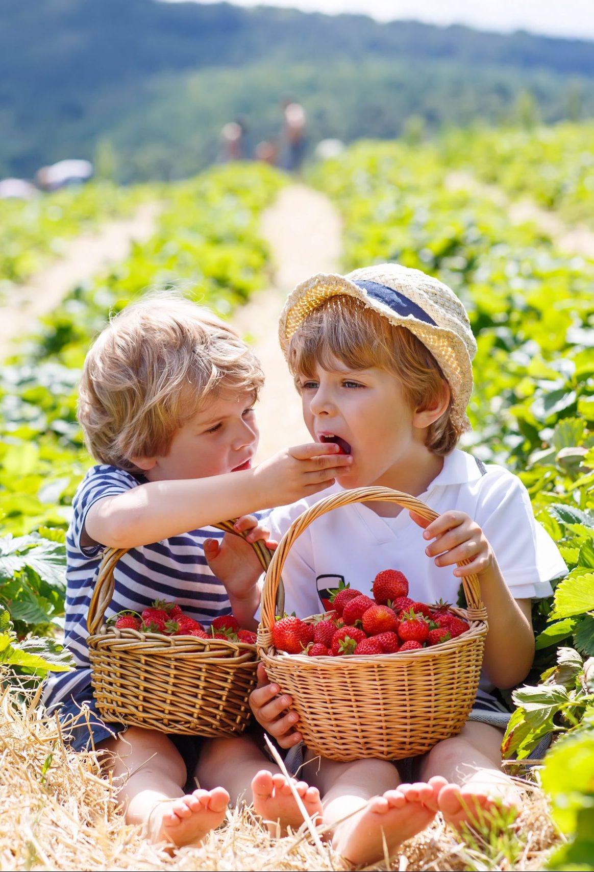 FRESHFOOD Kids - FreshFood Catering und Event OHG